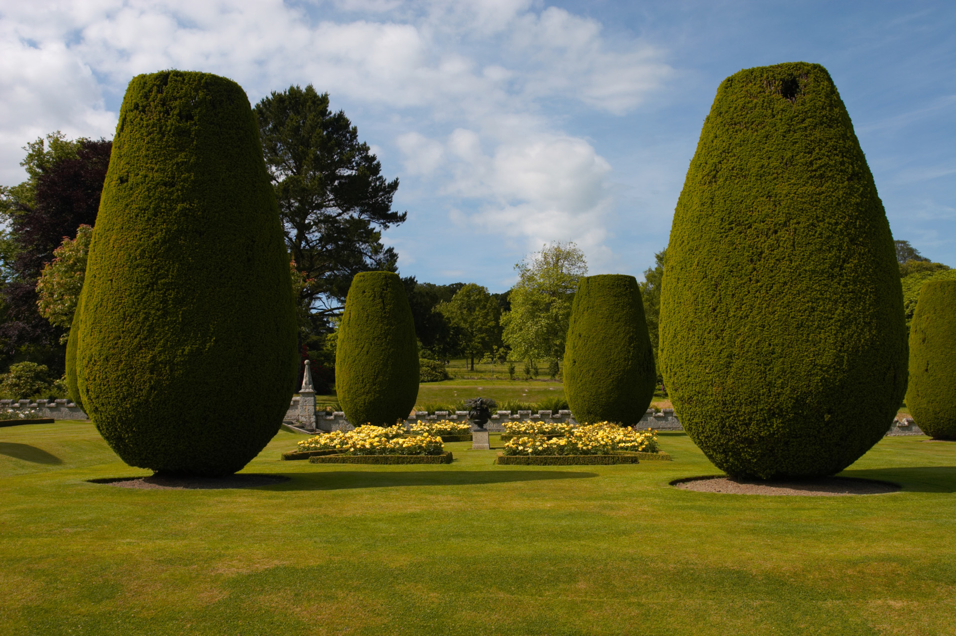 Lanhydrock House Topiary | Lanhydrock | Cornwall | Photography By ...