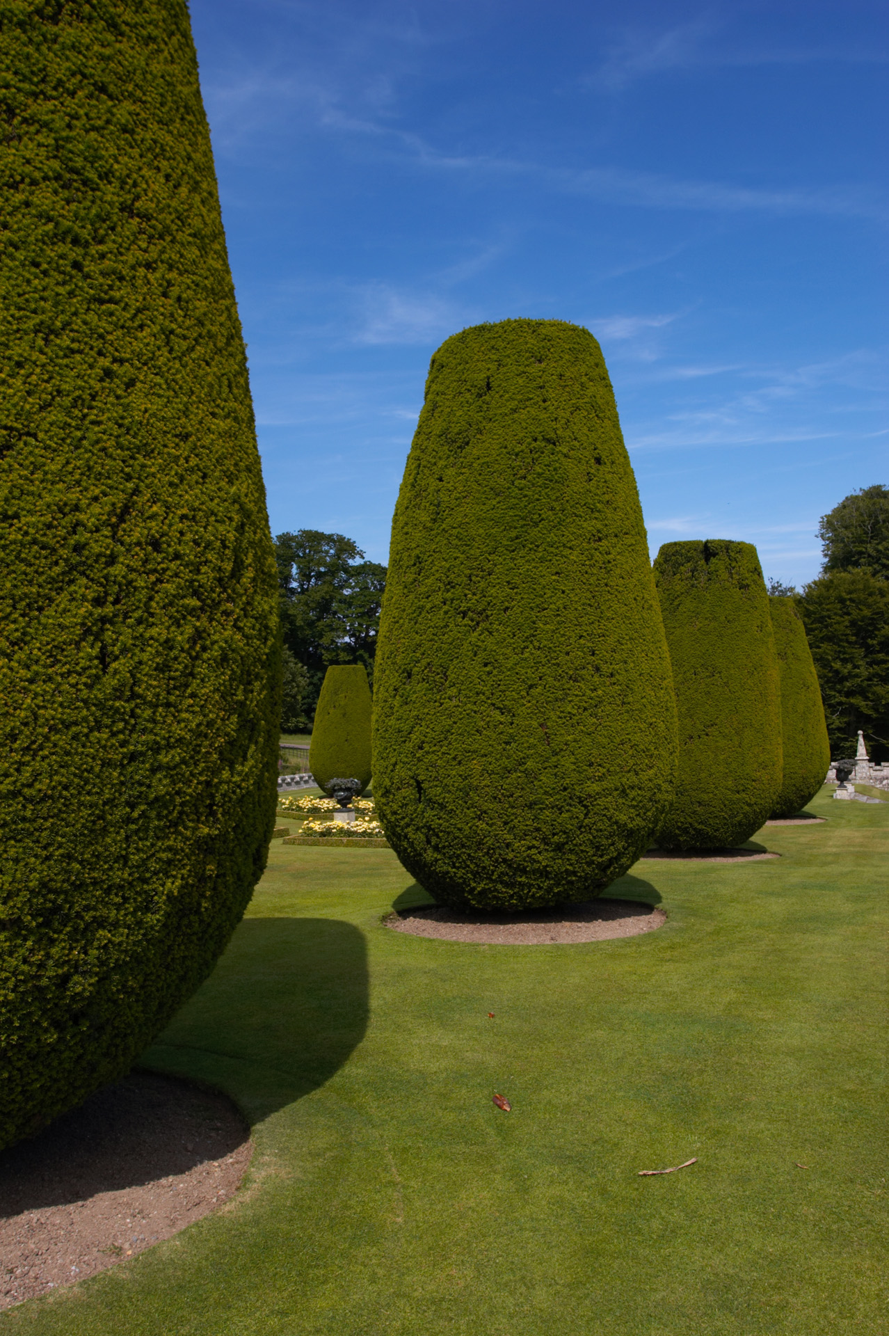 Lanhydrock House Topiary | Lanhydrock | Cornwall | Photography By ...